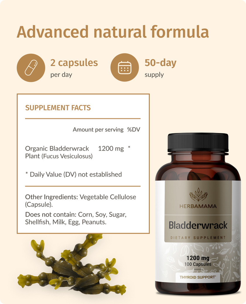 Bladderwrack Supplement - 100 Capsules – Herbamama