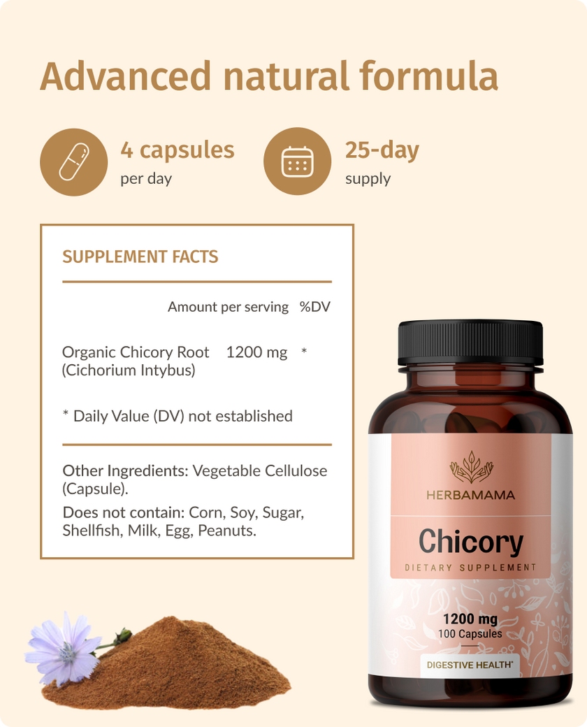 Chicory Supplement - 100 Capsules – Herbamama