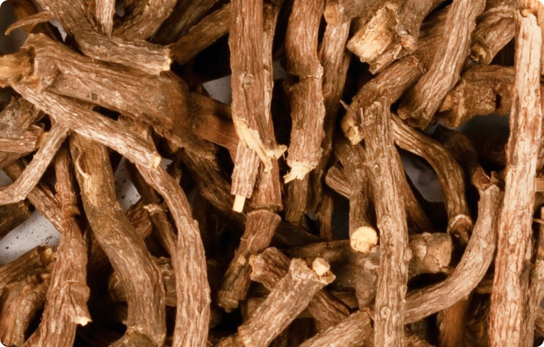 Cryptolepis Liquid Extract Supplement, 2 Fl. Oz Bottle | Herbamama