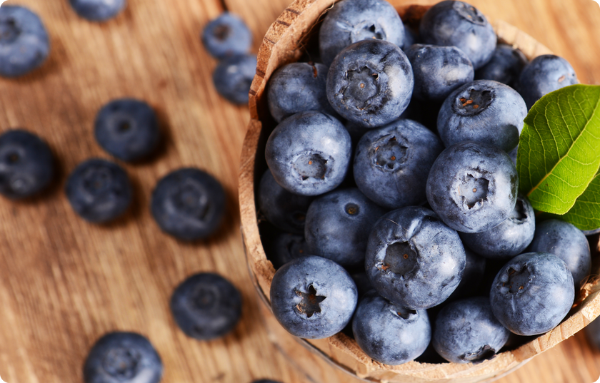 Brain Support Gummies – Herbamama